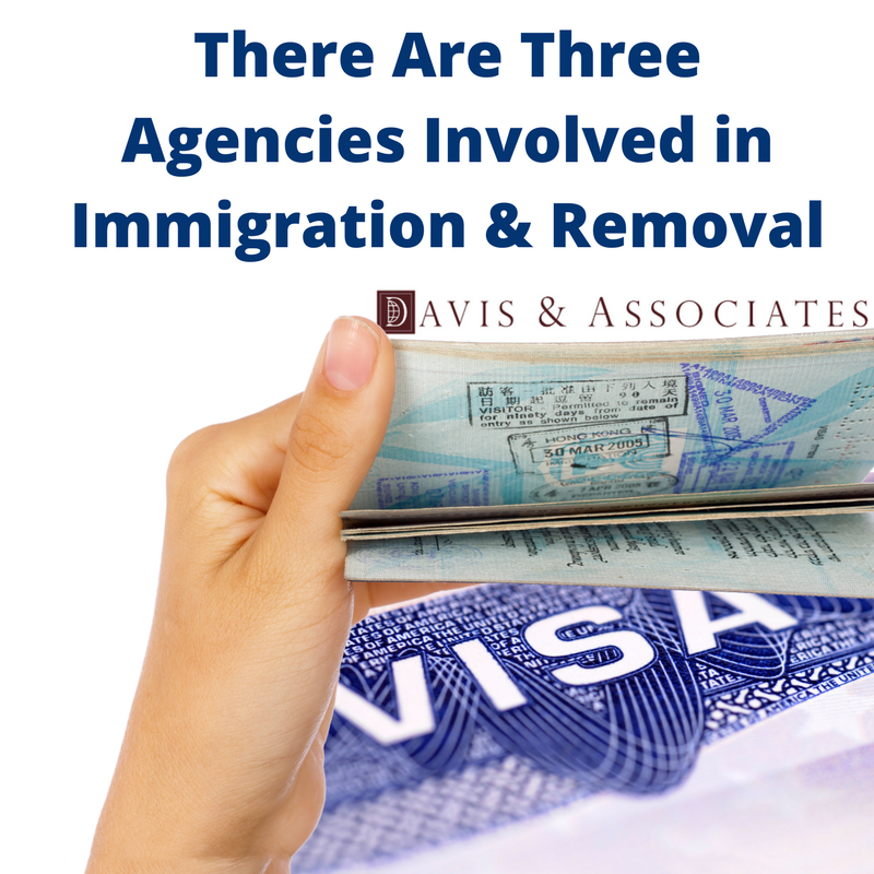 Removal Proceedings Overview & Hiring a Deportation Lawyer
